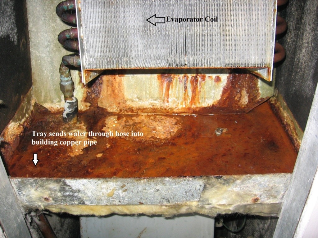 Fan Coil Mold Remediation in Toronto By Trusted Experienced Technicians